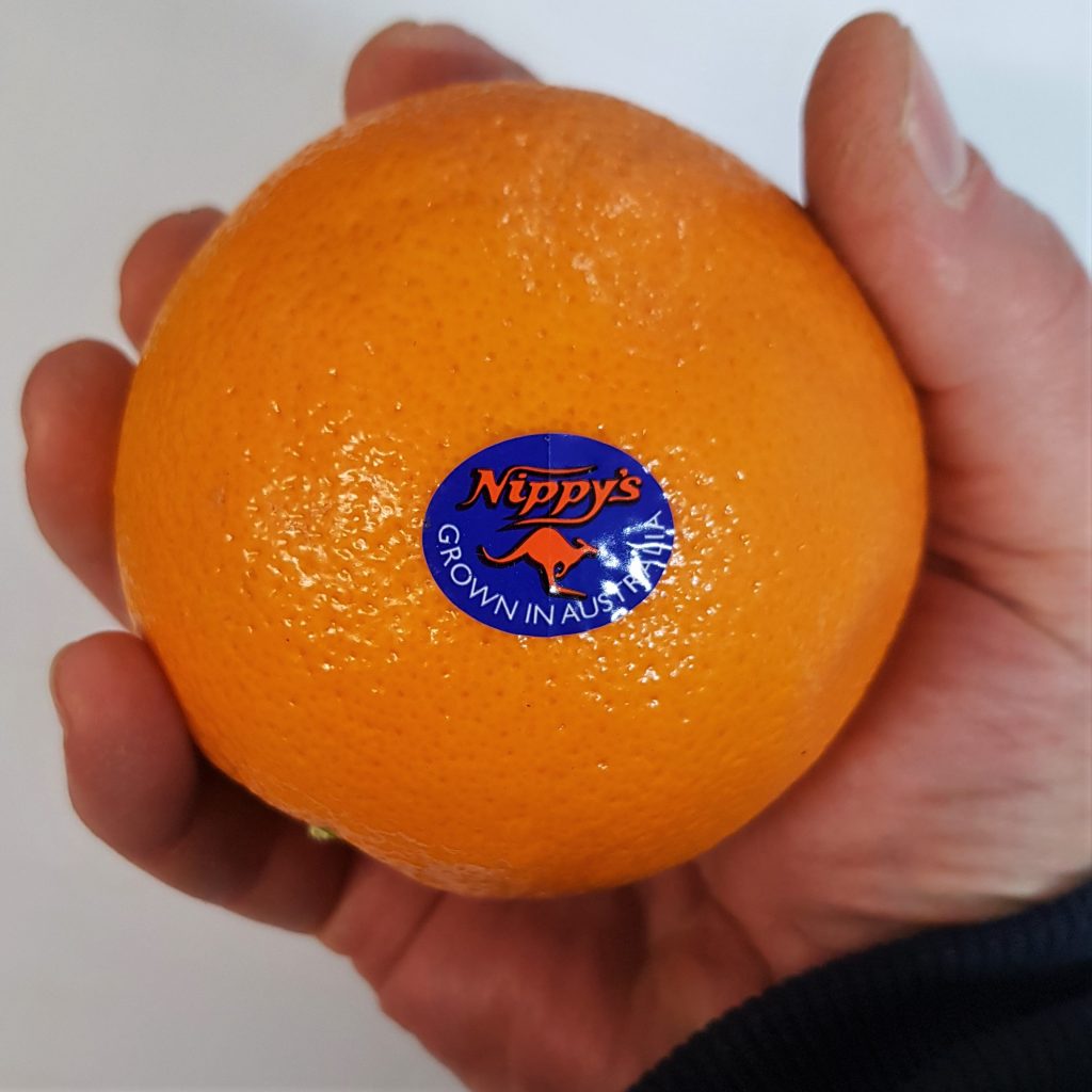 Australian Navel Oranges, Each *PREMIUM QUALITY* *ABSOLUTELY THE BEST ...