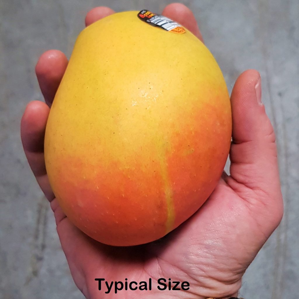 Mangoes, TRAY, Kensington Pride. *BOWEN FRUIT* *BEST EATING* *BEST AT ...