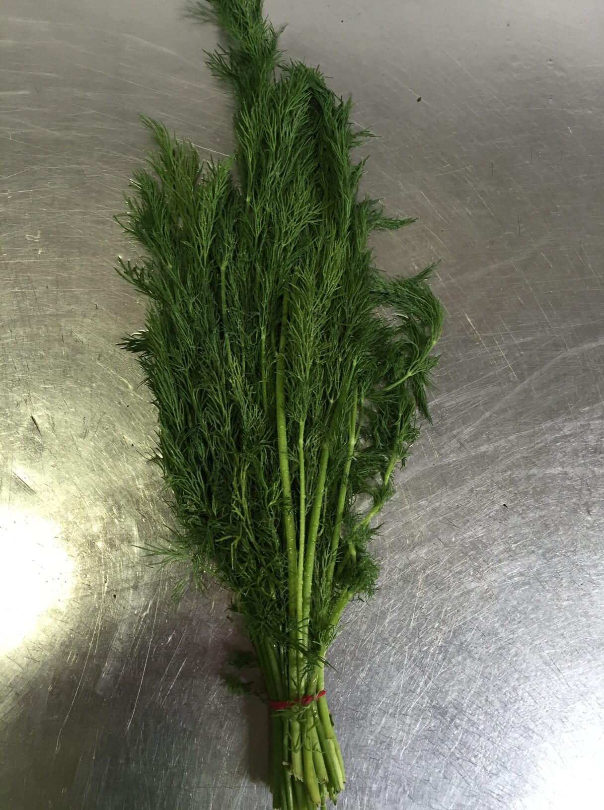 Dill Bunch – Grandma Rosies